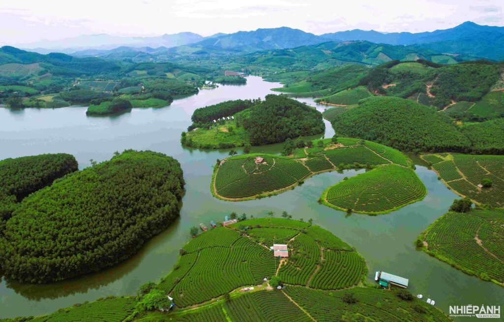 Tours Hoa Tiên Paradise- Quê Bác- Đảo Chè Thanh Chương - Hoa Tiên ...